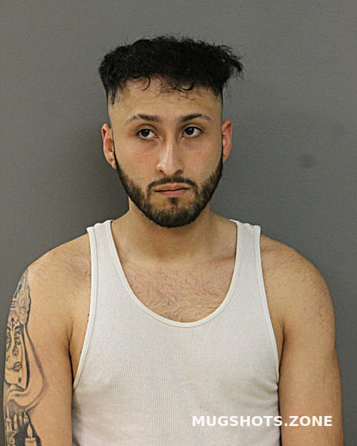 ALEJANDRO HERNANDEZ LOPEZ 02/16/2025 - Chicago Mugshots Zone