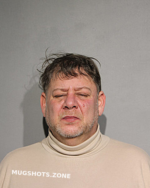SHAWN DUNNING 02/16/2025 - Chicago Mugshots Zone