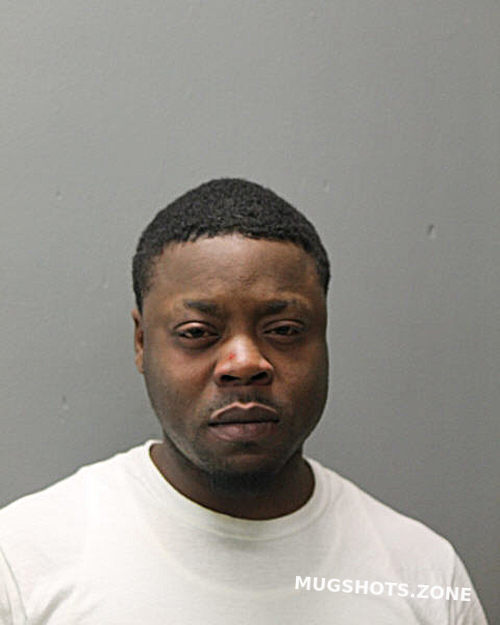 LARRY D WILLIAMS JR 02/17/2025 - Chicago Mugshots Zone