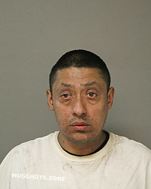 JAVIER ELERS VENCES BERNAL 02/17/2025 - Chicago Mugshots Zone