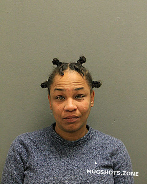 PRISCILLA MARIA JOHNSON 02/17/2025 - Chicago Mugshots Zone