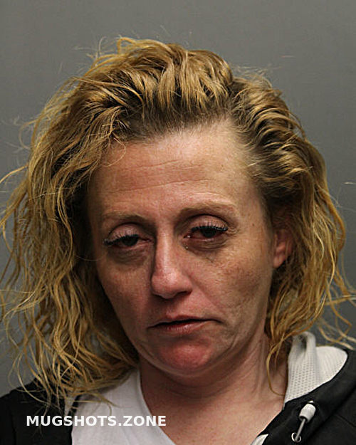 JAMIE WILLARD 02/18/2025 - Chicago Mugshots Zone