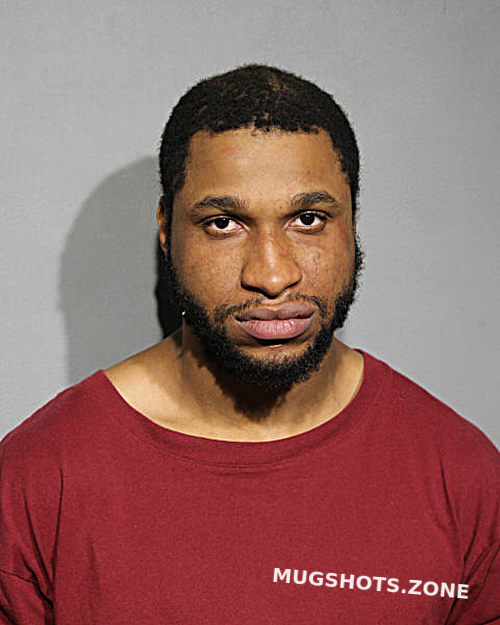 MICHAEL L STEELE 02/18/2025 - Chicago Mugshots Zone