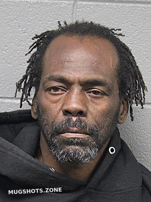 DAVID JOHNSON 02/18/2025 - Chicago Mugshots Zone