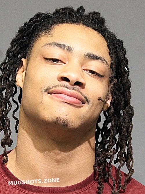 AARON M DAVIS 02/18/2025 - Chicago Mugshots Zone