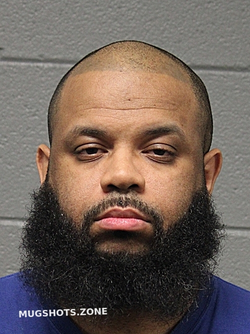 SEAN DAVID MC CLURE 02/19/2025 - Chicago Mugshots Zone