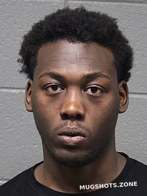 ARTHAVION L ANDERSON 02/19/2025 - Chicago Mugshots Zone