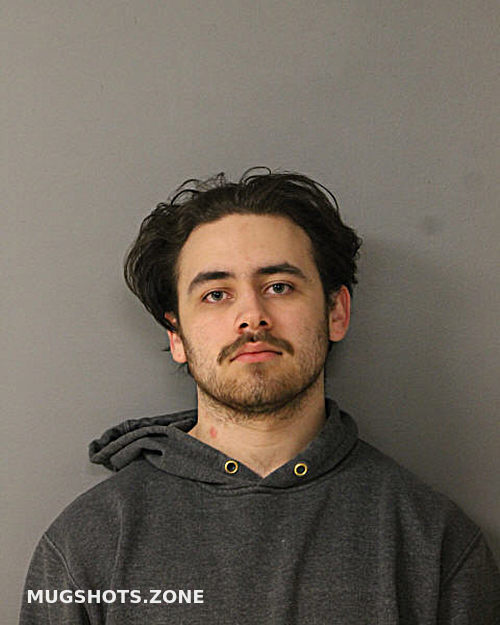 GIDEON SCOTT OTTO 02/19/2025 - Chicago Mugshots Zone