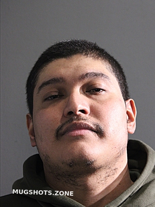 JOSE R CORTEZ 02/20/2025 - Chicago Mugshots Zone