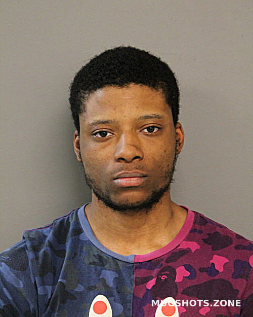 STEVEN J MOORE 02/20/2025 - Chicago Mugshots Zone