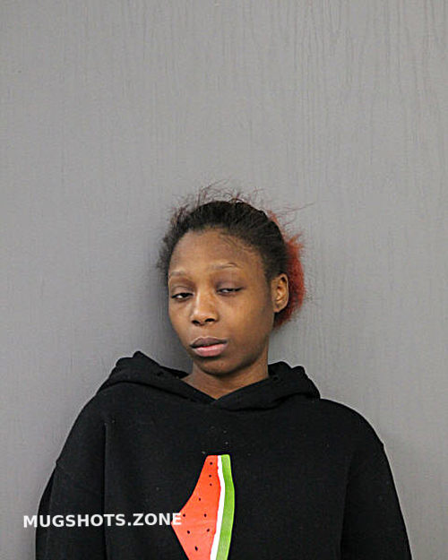 AMARIONNA L ROBINSON 02/20/2025 - Chicago Mugshots Zone