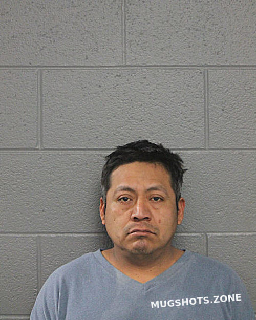 JAIME ALFARO 02/22/2025 - Chicago Mugshots Zone