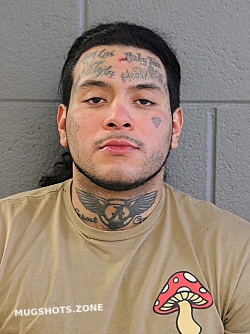 JOSEPH ALMENDAREZ 02/22/2025 - Chicago Mugshots Zone