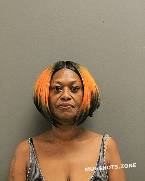 ANNETTE M FREEMAN 02/22/2025 - Chicago Mugshots Zone