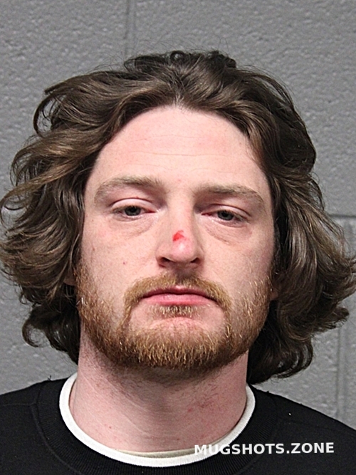 RICHARD ANDREW WITT 02/22/2025 - Chicago Mugshots Zone