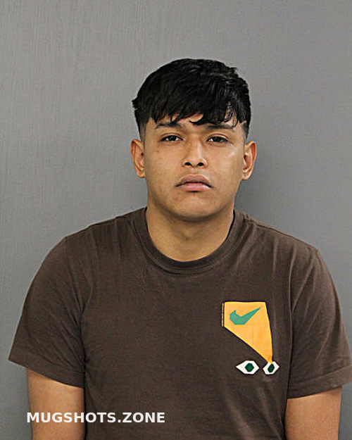 YEFERSON SAMUEL GODINO ROCA 02/23/2025 - Chicago Mugshots Zone