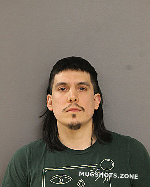 ADEN MEZA 02/23/2025 - Chicago Mugshots Zone