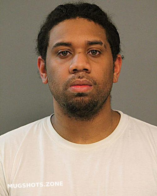 CAMERON L DUKE 02/23/2025 - Chicago Mugshots Zone