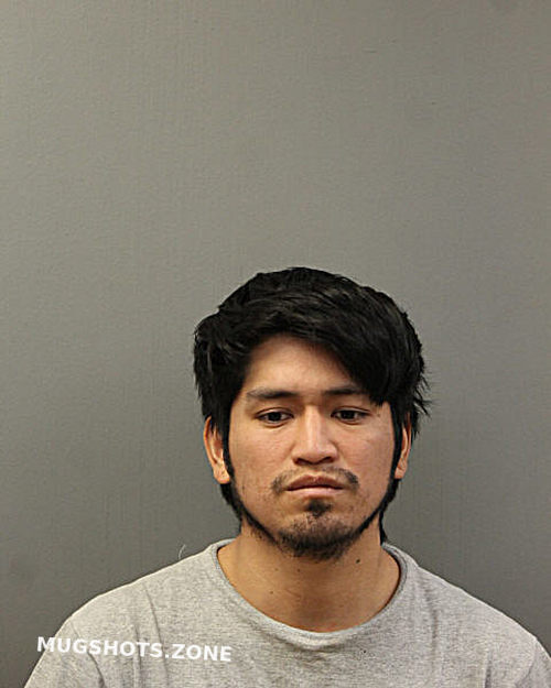 ALEX CANSAS 02/23/2025 - Chicago Mugshots Zone