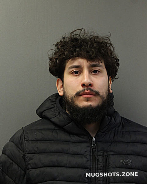 ENRIQUE GONZALEZ 02/23/2025 - Chicago Mugshots Zone