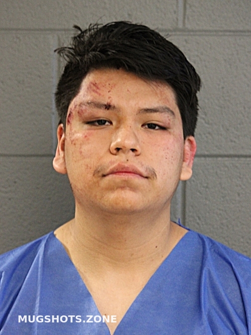 VICTOR OLVERA 02/23/2025 - Chicago Mugshots Zone