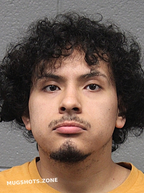 JOSE RAMIREZ 02/23/2025 - Chicago Mugshots Zone
