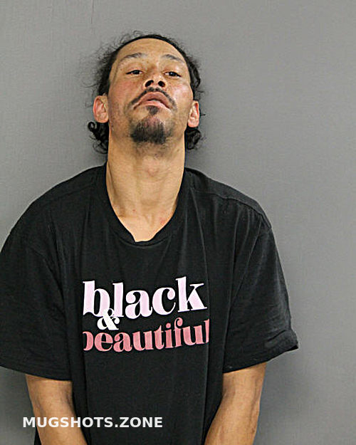 LASHAWN GREEN 02/23/2025 - Chicago Mugshots Zone