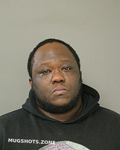 MICHAEL A FIELDS 02/24/2025 - Chicago Mugshots Zone