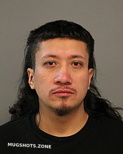 DAVID CASTRO ZARAGOZA 02/25/2025 - Chicago Mugshots Zone