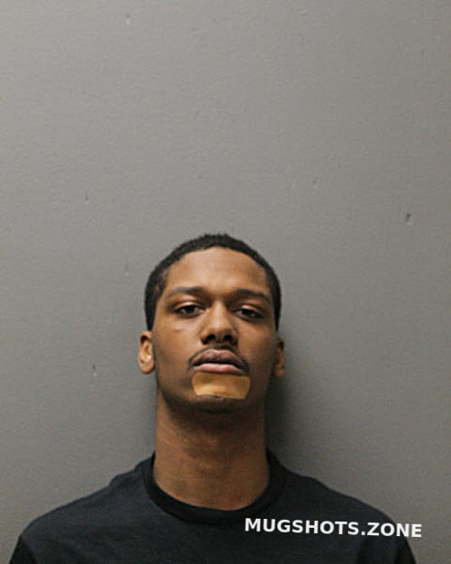 TYLER L SMITH 02/25/2025 - Chicago Mugshots Zone