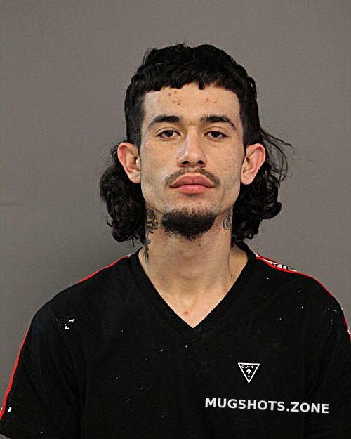 LOZANO ALEXIS GOMEZ 02/26/2025 - Chicago Mugshots Zone