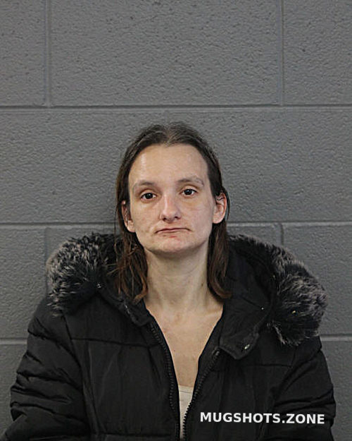 MEGAN N LARSON 02/26/2025 - Chicago Mugshots Zone