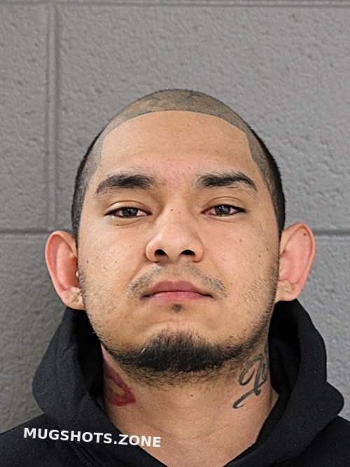 ALAN IVAN MENDEZ GARNICA 03/02/2025 - Chicago Mugshots Zone