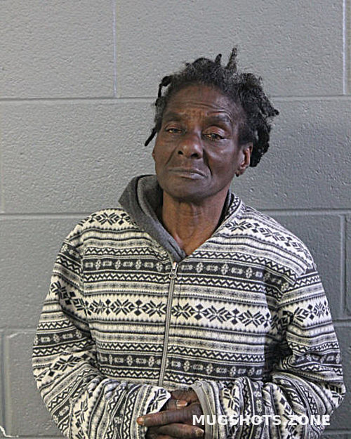 LIZZIE M STRONG 03/02/2025 - Chicago Mugshots Zone