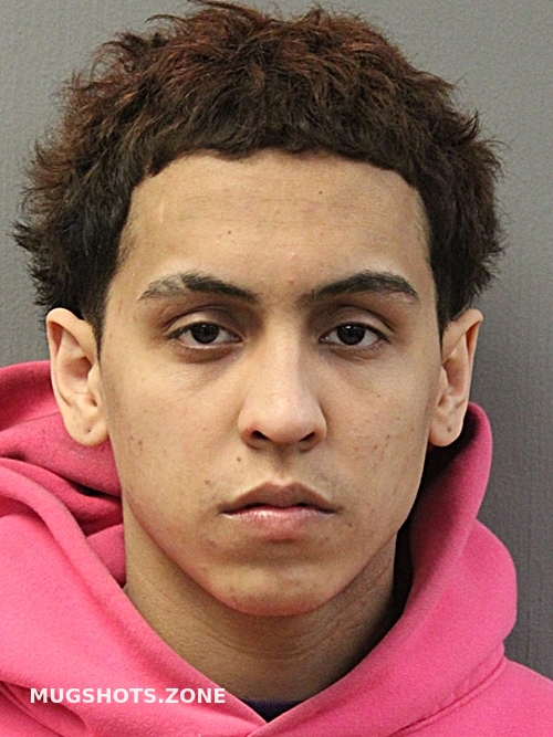 DYLAN RANGEL 03/03/2025 - Chicago Mugshots Zone