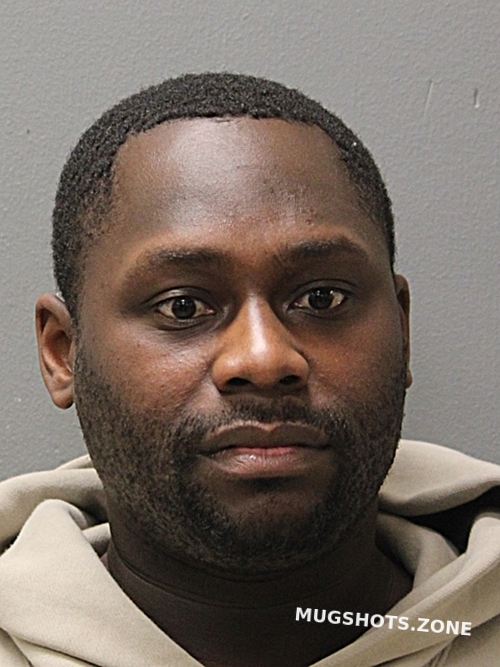 MICHAEL R DAVIS 03/03/2025 - Chicago Mugshots Zone