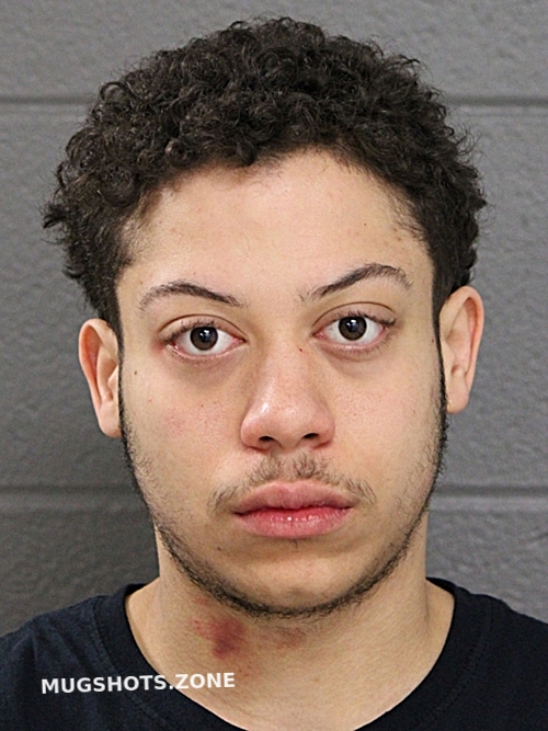 NATHAN A PILLETTE 03/03/2025 - Chicago Mugshots Zone