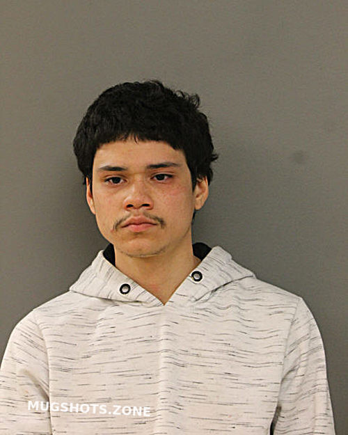 DANIEL MAURO SERRANO 03/04/2025 - Chicago Mugshots Zone