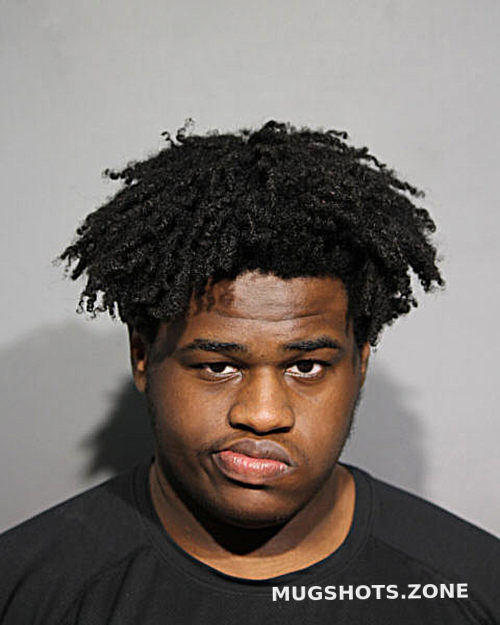 JEFFREY L SULLIVAN 03/04/2025 - Chicago Mugshots Zone