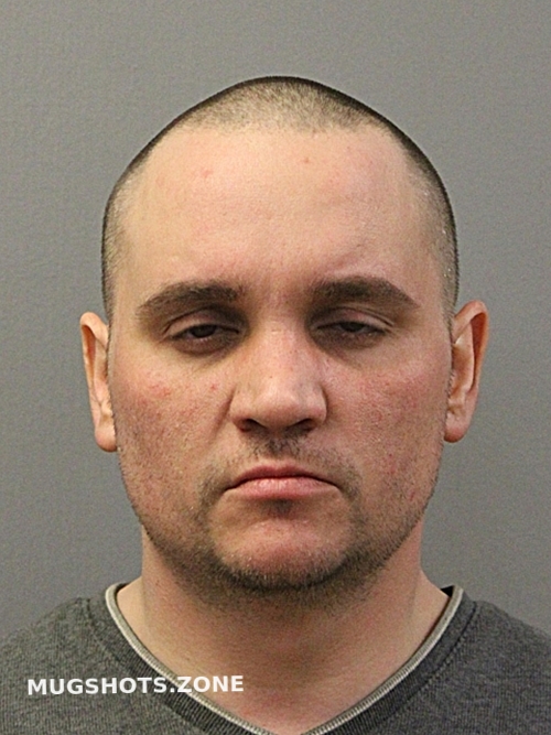 STEVEN M OLNHAUSEN 03/05/2025 - Chicago Mugshots Zone