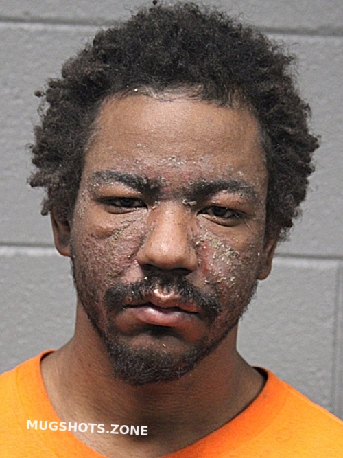 DEVON JOHNSON 03/06/2025 - Chicago Mugshots Zone