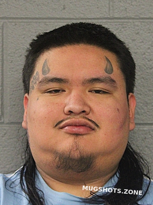 DIEGO J ROMERO 03/06/2025 - Chicago Mugshots Zone