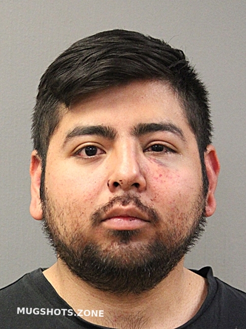LUIS E GONZALEZ-HERRERA 03/07/2025 - Chicago Mugshots Zone