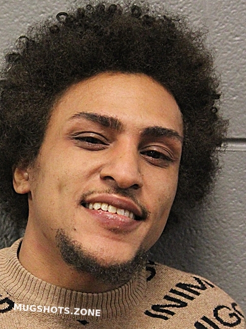 LEE ANTHONY DASHON ALVAREZ 03/08/2025 - Chicago Mugshots Zone
