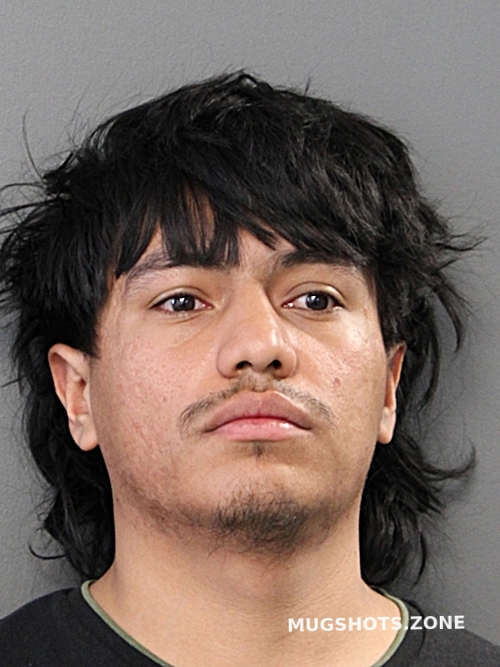 JOSE ANDRES RUIZ CRESPIN 03/09/2025 - Chicago Mugshots Zone