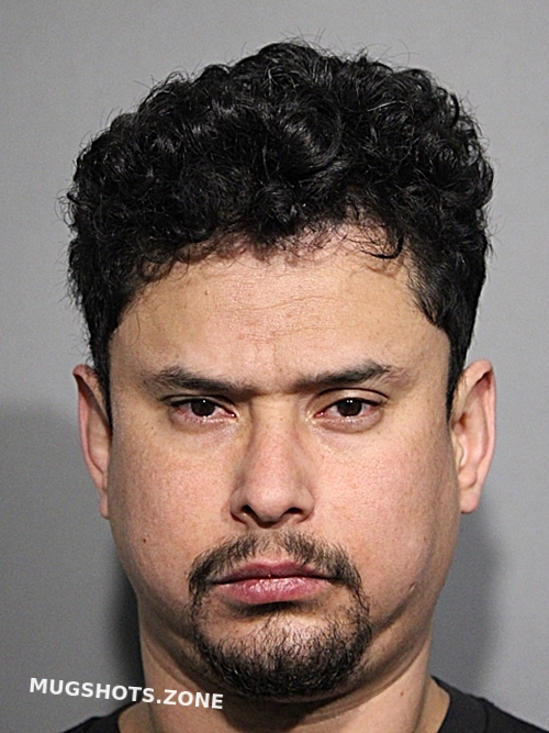 ALEXYE G OCHOA GUZMAN 03/09/2025 - Chicago Mugshots Zone