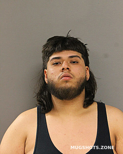 XAVIER ALEXANDER SALGADO 03/09/2025 - Chicago Mugshots Zone