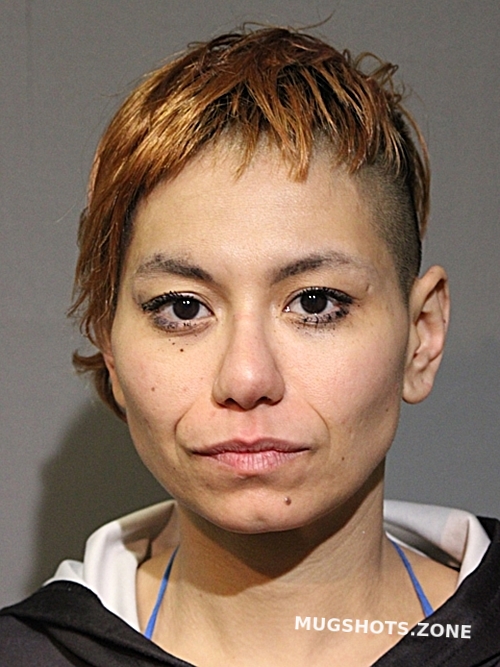 KATHERINE S HERMAN 03/10/2025 - Chicago Mugshots Zone