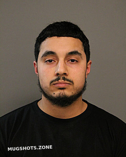 DEYAH NADER ABDELSALAM 03/12/2025 - Chicago Mugshots Zone