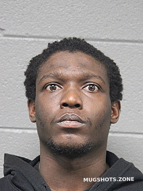 MICHAEL R WILSON 03/13/2025 - Chicago Mugshots Zone